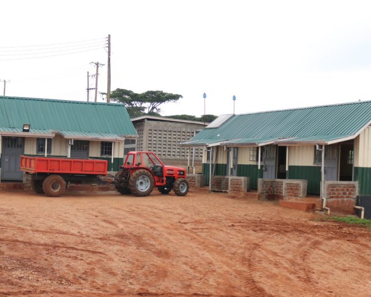 About – Banoli Farm